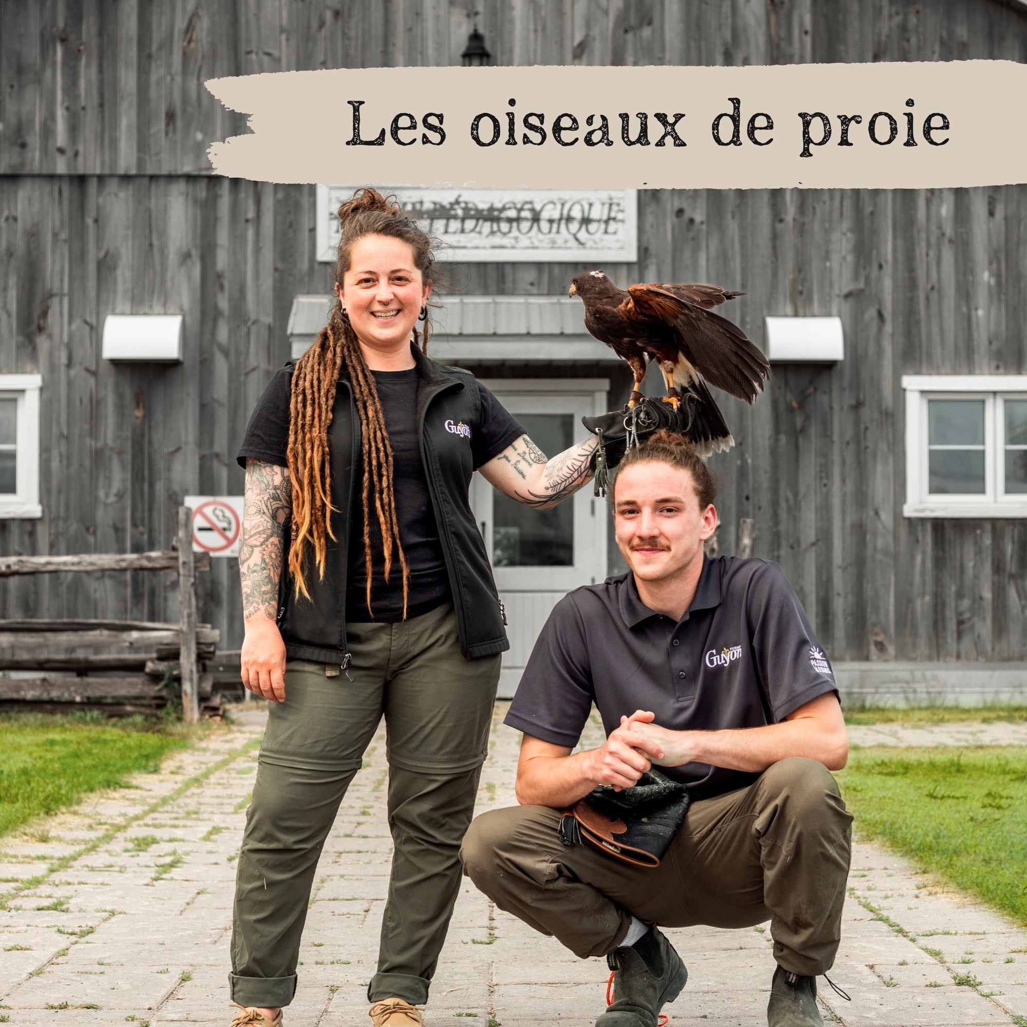Oiseaux de proie - La Ferme Guyon